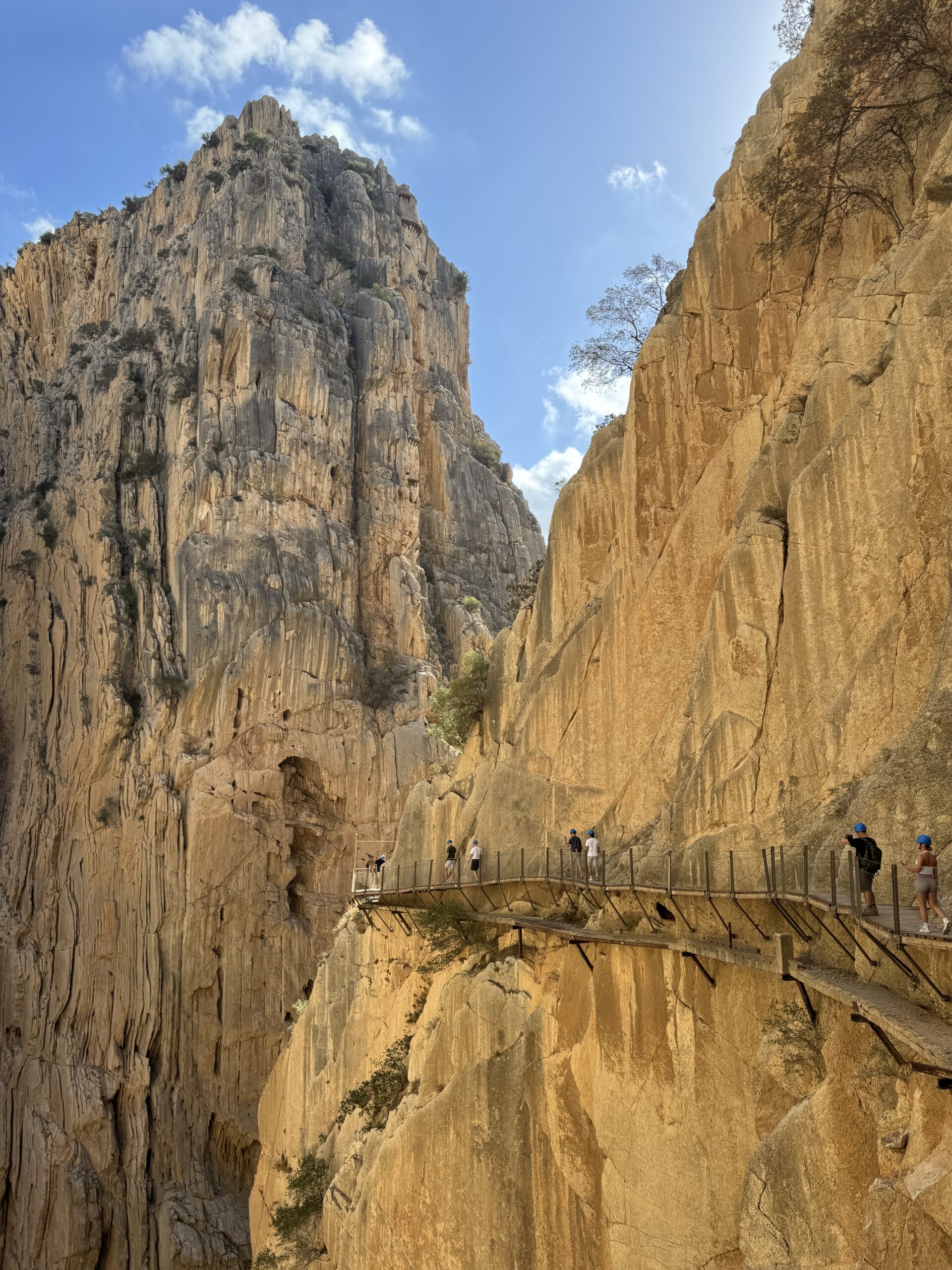 The most dangerous path in the world is tamed – Suzanne Morphet